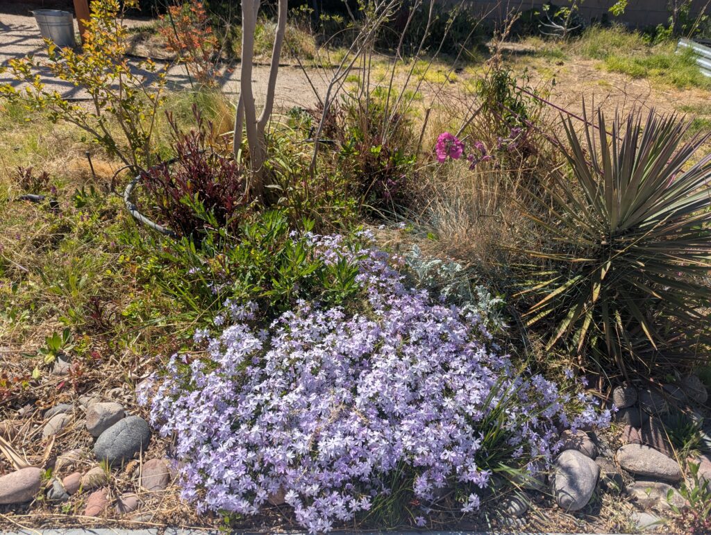 Resources - FireBloom Gardens